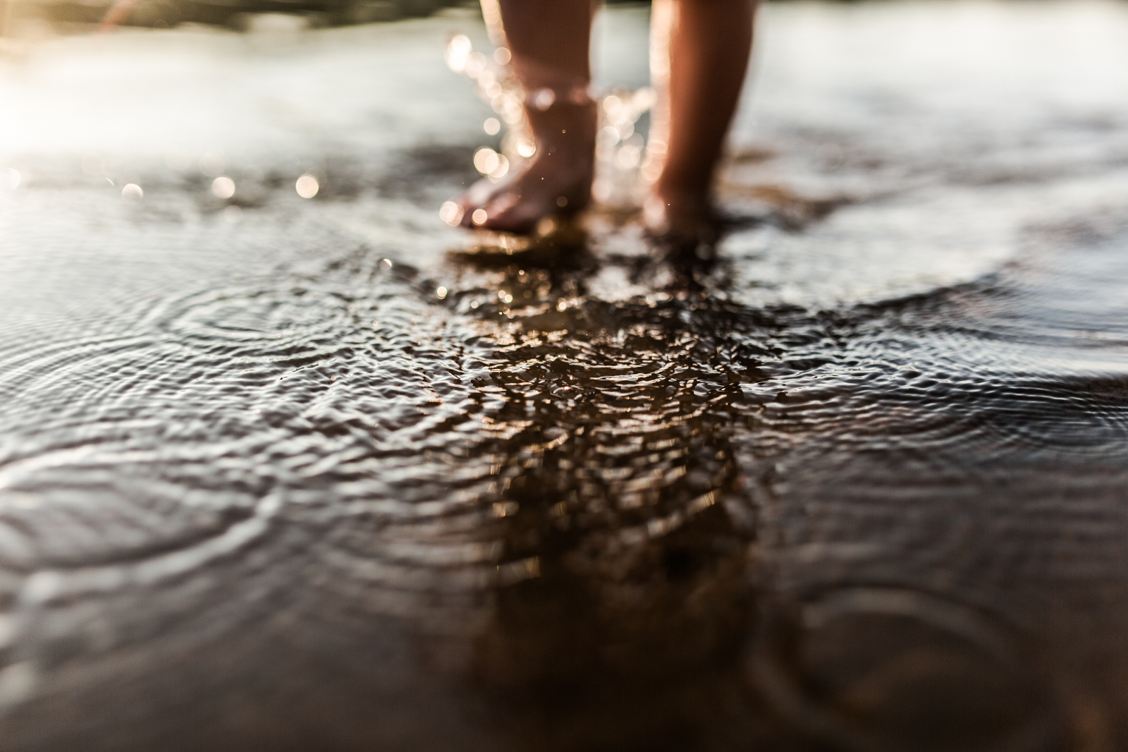 Home » Alison Moore Photography