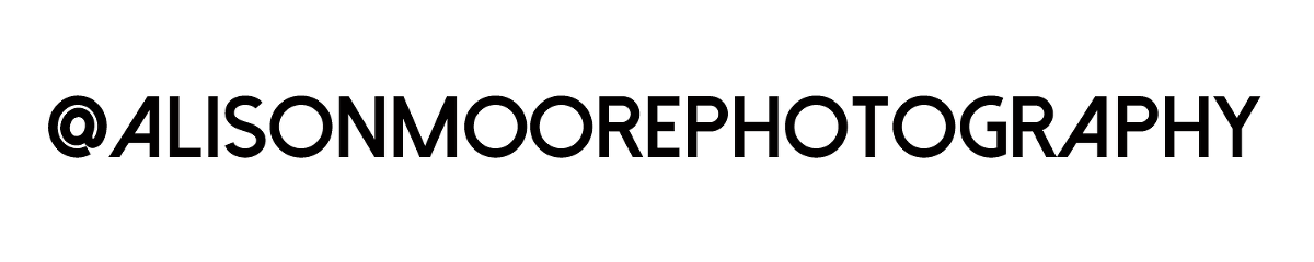 Home » Alison Moore Photography